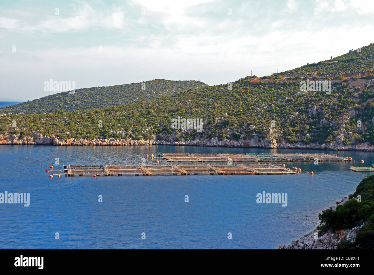 Aquaculture cage fish farming net hi-res stock photography and images ...