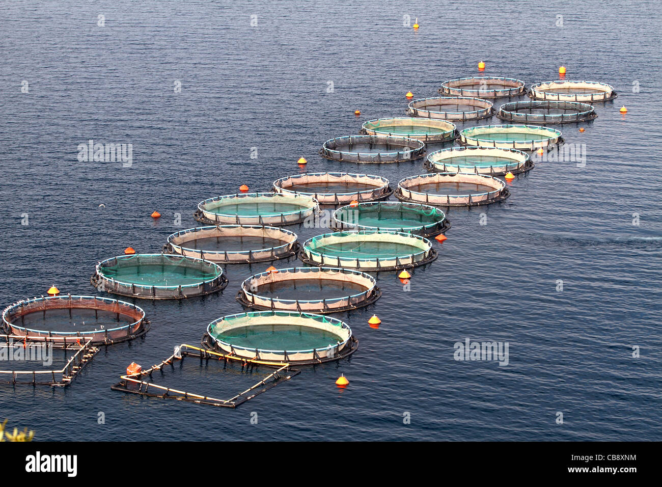Aquacultrure, fish farms in Peloponesse, Greece Stock Photo - Alamy