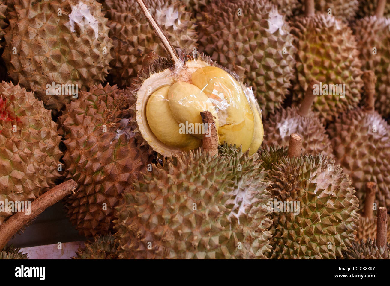 Closeup of a Durian fruit, Singapore Stock Photo - Alamy