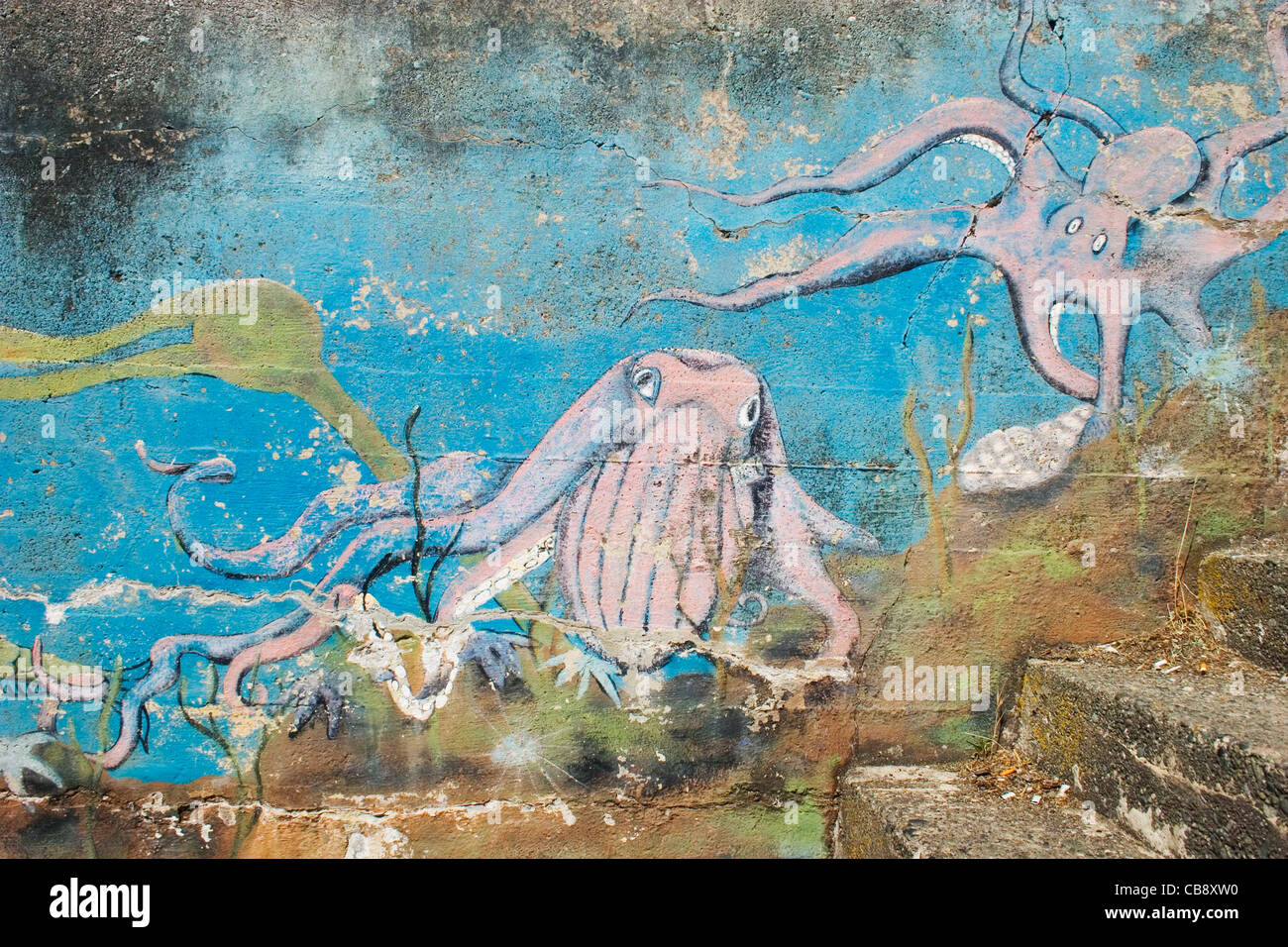 Weathered mural on an outdoor wall of octopus under water Stock Photo ...