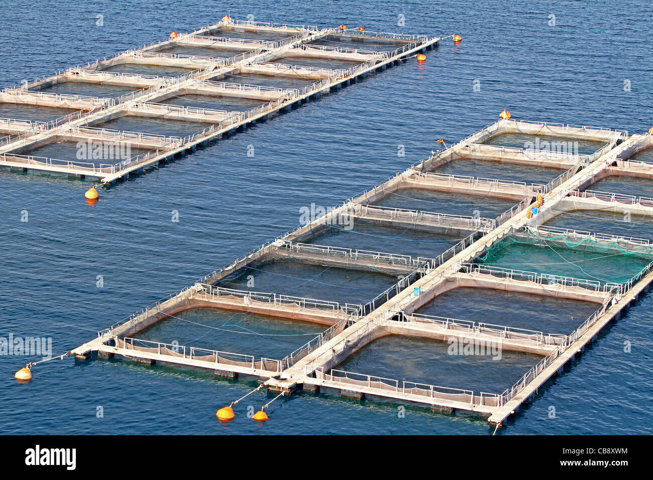 Aquacultrure, fish farms in Peloponesse, Greece Stock Photo - Alamy
