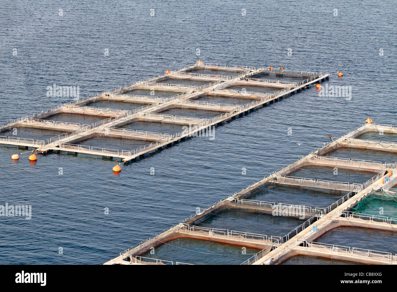 Aquacultrure, fish farms in Peloponesse, Greece Stock Photo - Alamy