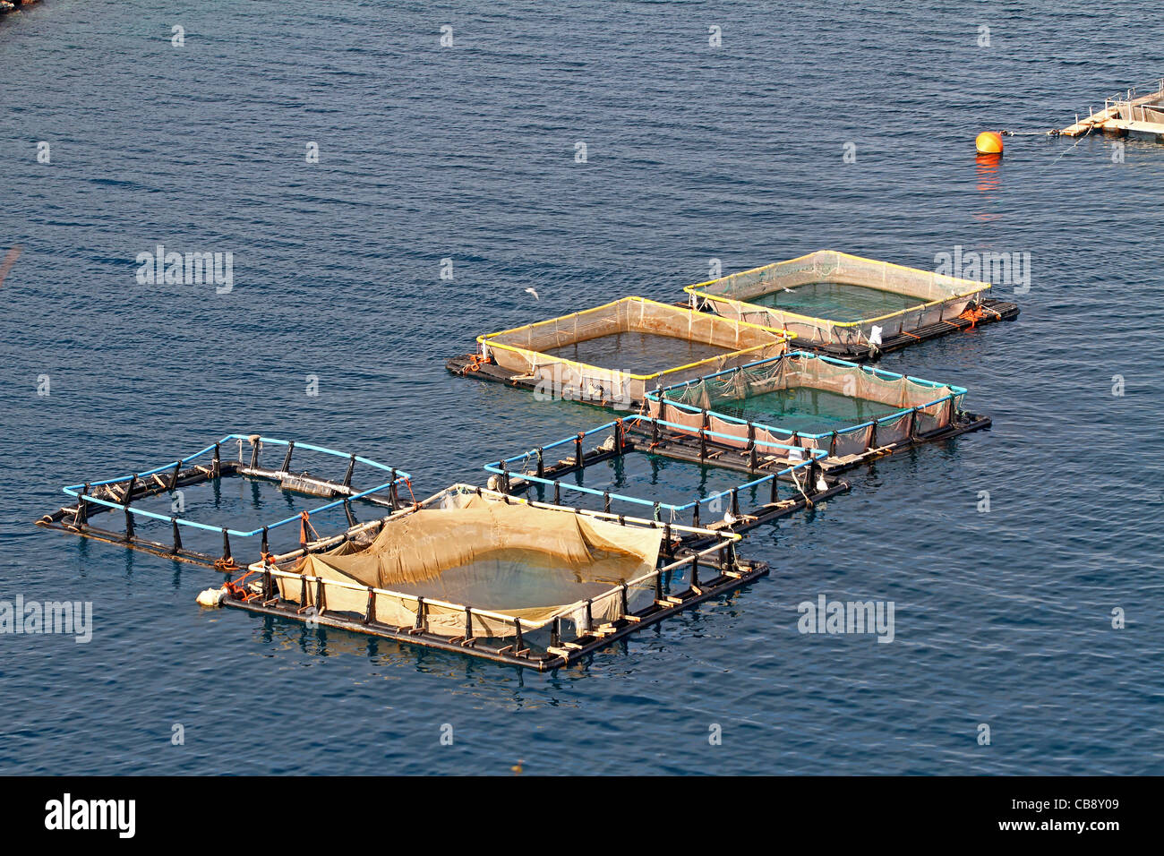 Aquacultrure, fish farms in Peloponesse, Greece Stock Photo - Alamy