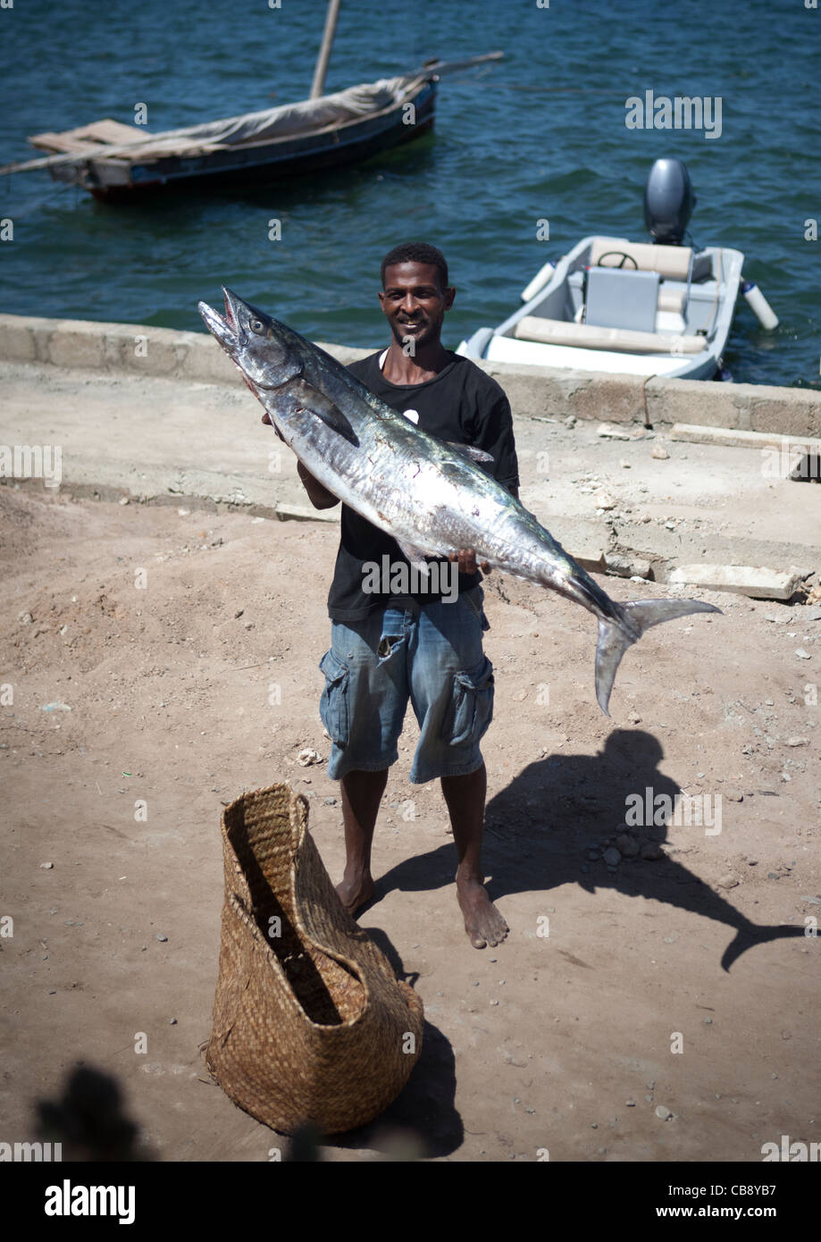 Man On The Dockside With An Enormous Fish In His Hands, Lamu, Kenya ...