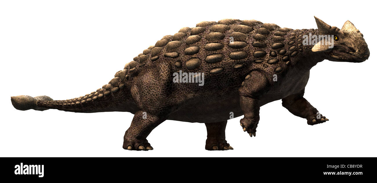 Ankylosaurus hi-res stock photography and images - Alamy
