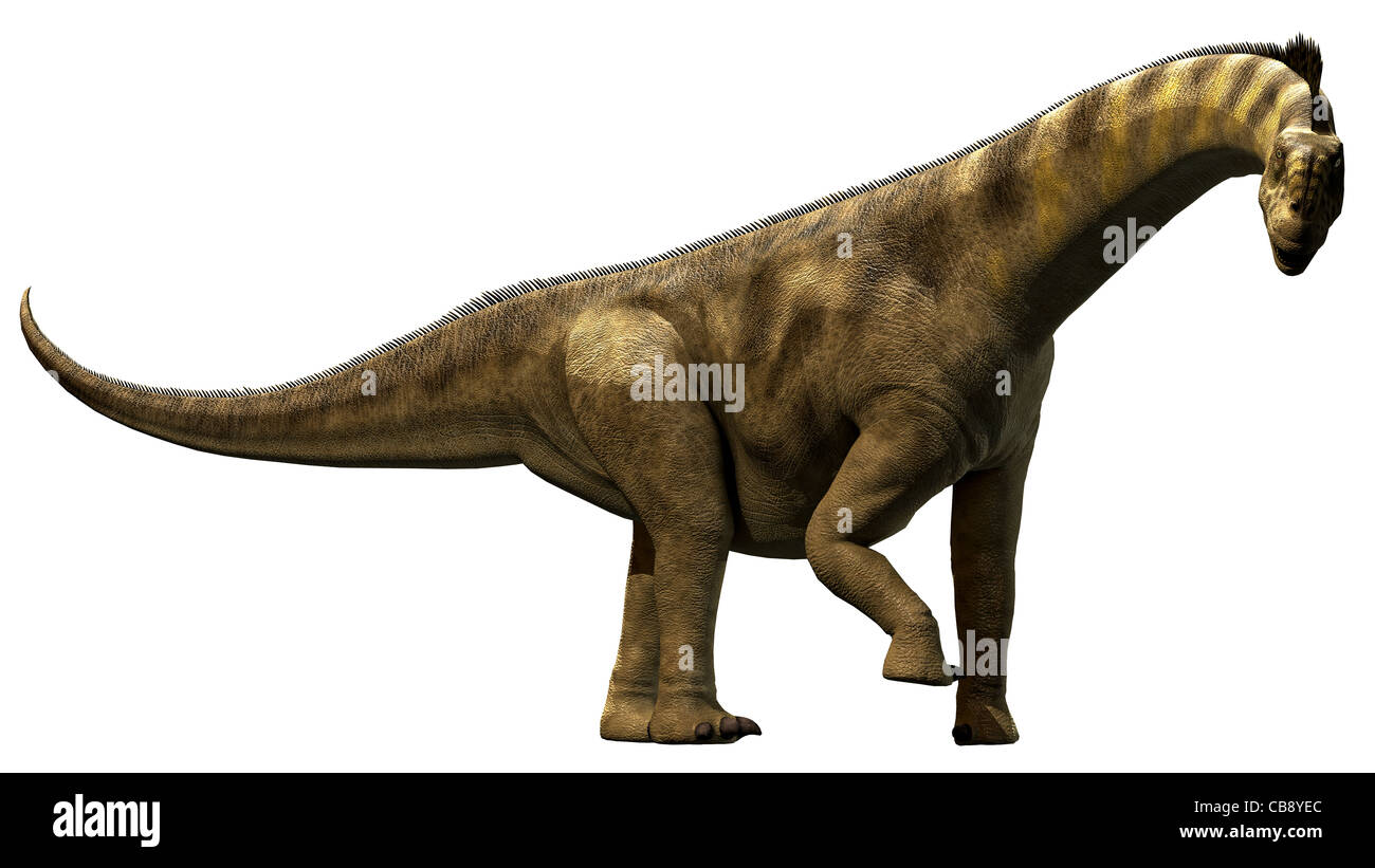 Camarasaurus supremus hi-res stock photography and images - Alamy