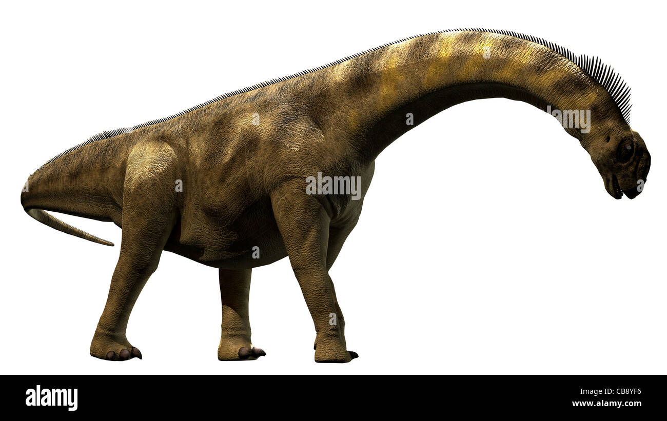 Camarasaurus High Resolution Stock Photography and Images - Alamy