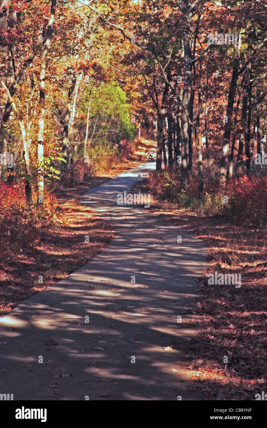 Path through the woods Stock Photo - Alamy