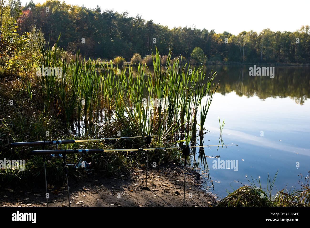 Rods on the water Stock Photo - Alamy