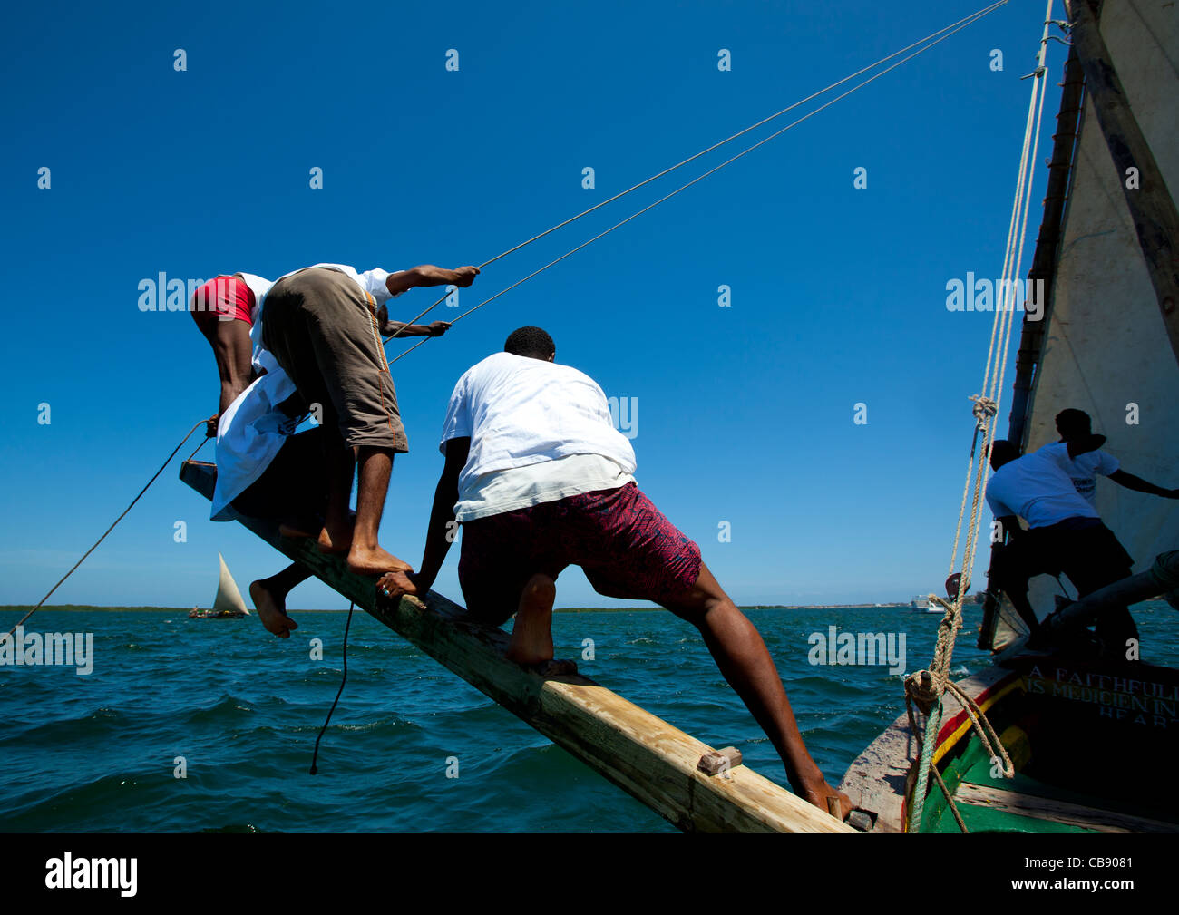 Steerage Of Dhow During The Dhow Race, Maulidi Festival, Lamu, Kenya ...