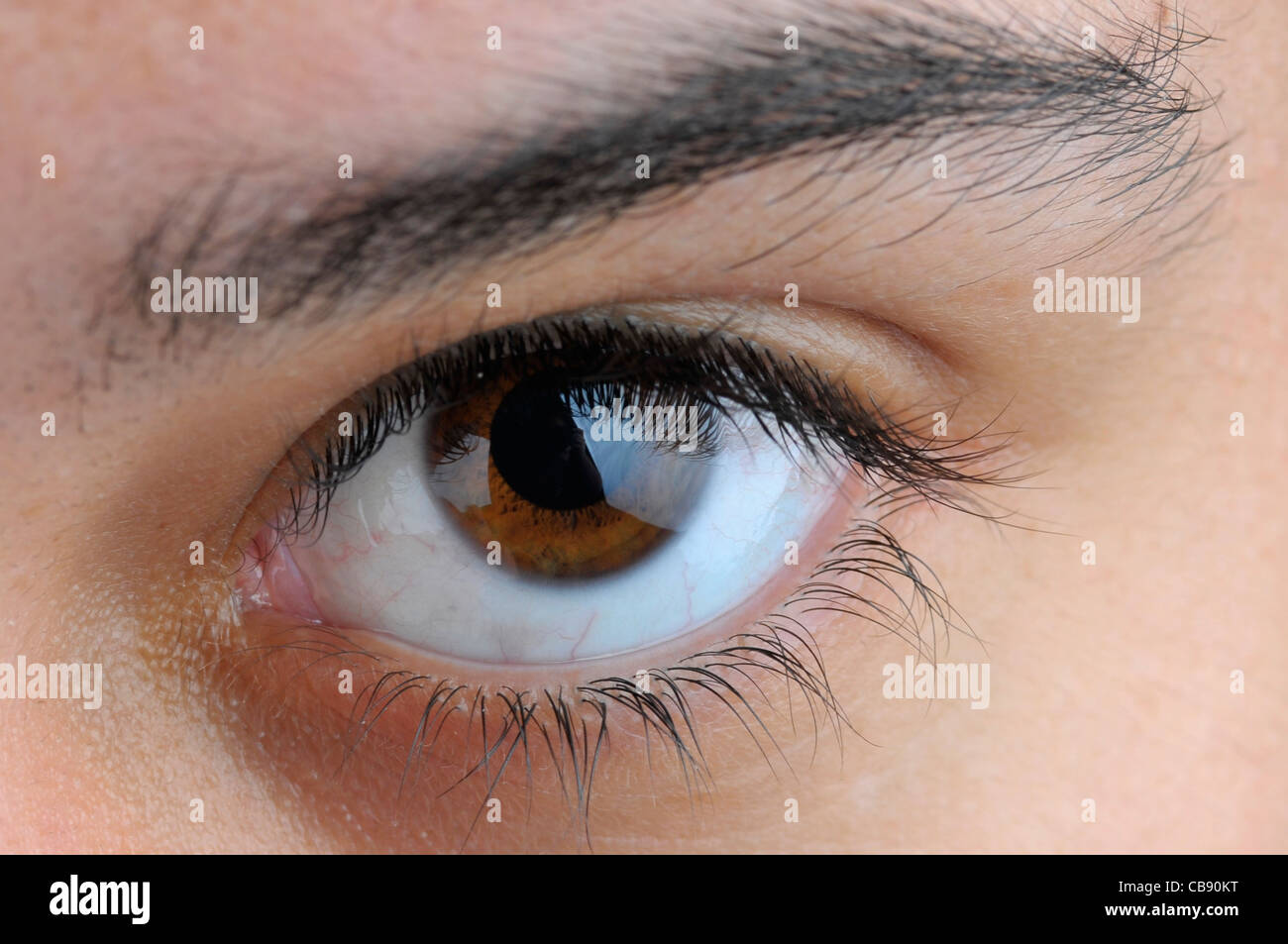 Close-up of a young woman's eye Stock Photo - Alamy