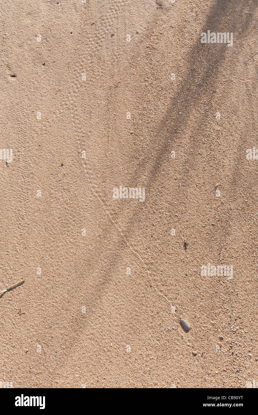 Patterns created in drifting sand from wind moving grass and small ...
