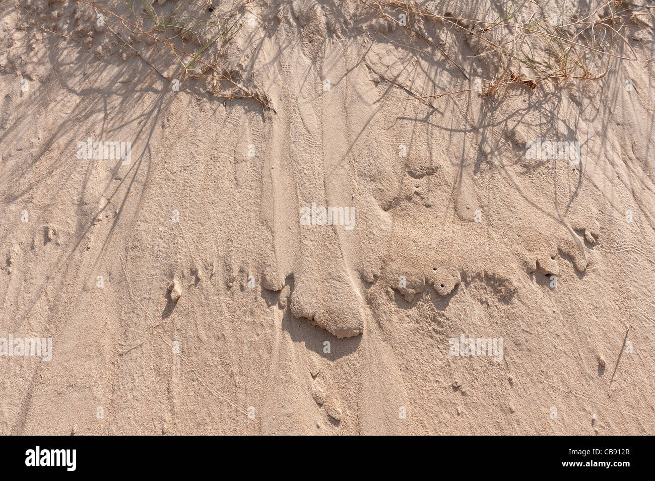 Grass wind sand circle hi-res stock photography and images - Alamy