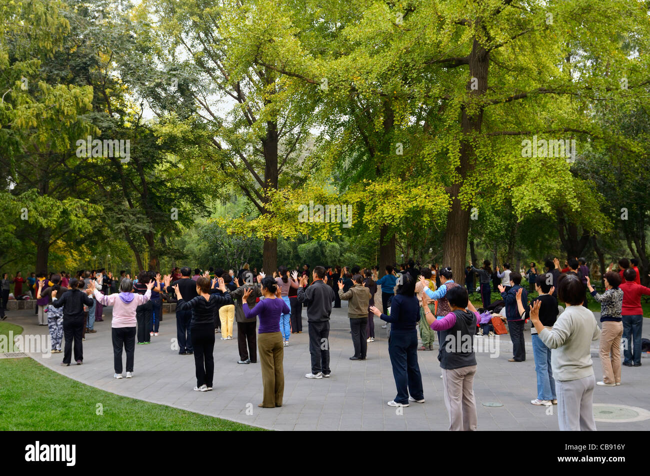 Morning exercises under trees in Zizhuyuan Purple Bamboo Park in ...