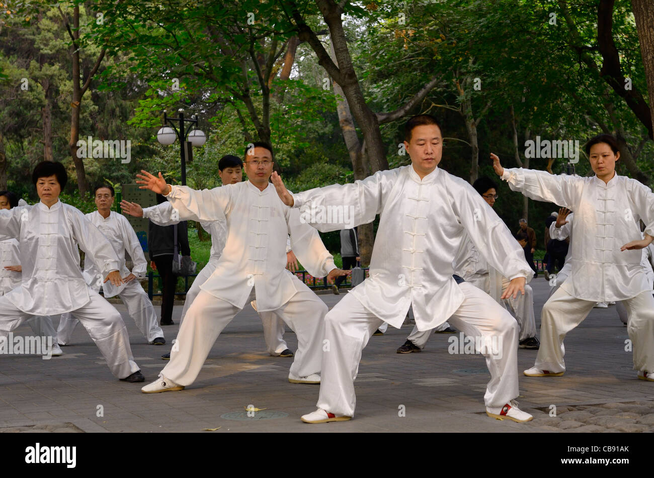 Morning Tai Chi class in position under trees in Zizhuyuan Purple ...