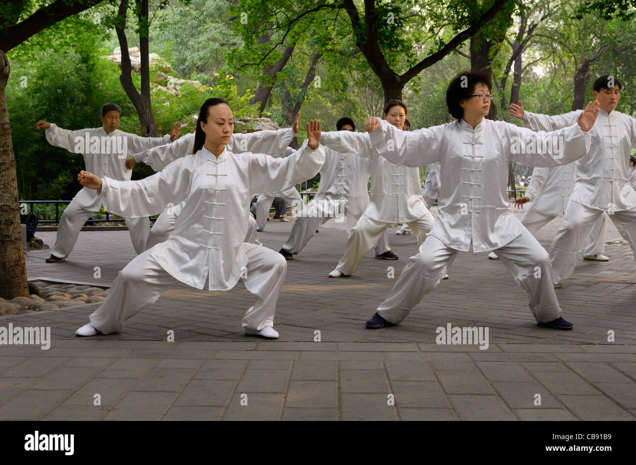 Tai Chi class practicing slow motion moves under trees in Zizhuyuan ...