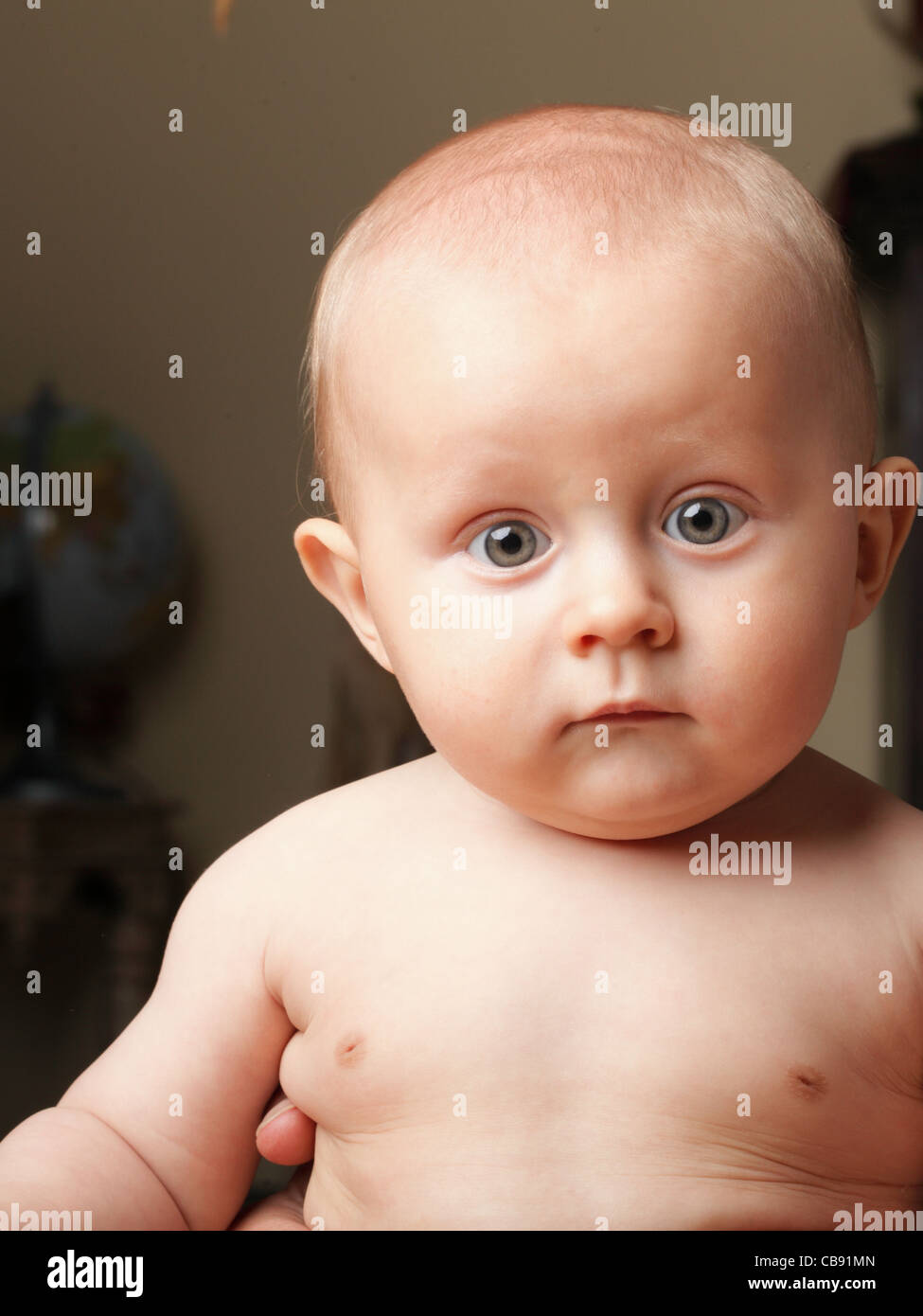 portrait of 6 months male child baby boy in blue eye Stock Photo - Alamy