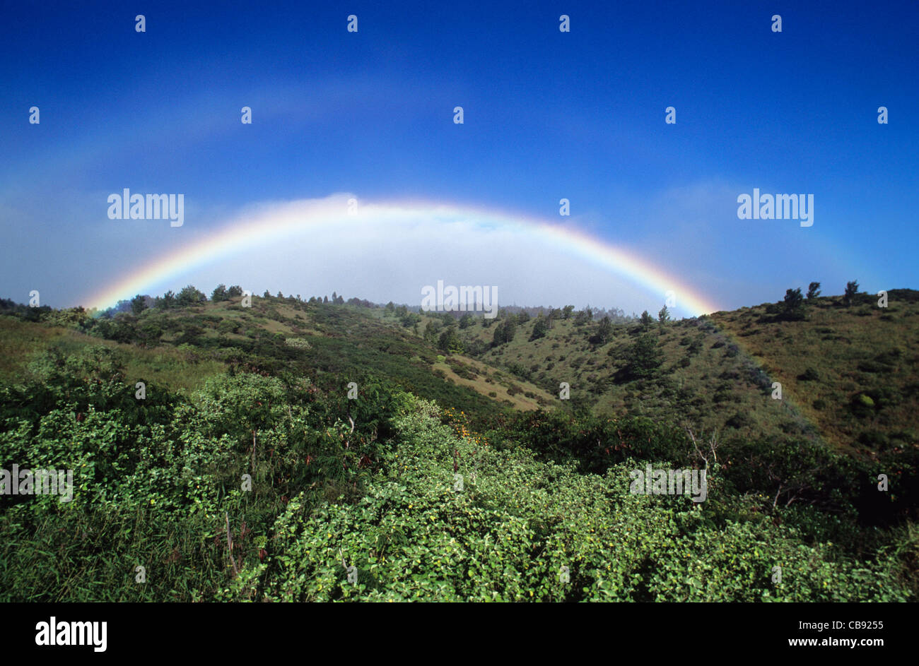 Hawaii molokai rainbow hi-res stock photography and images - Alamy