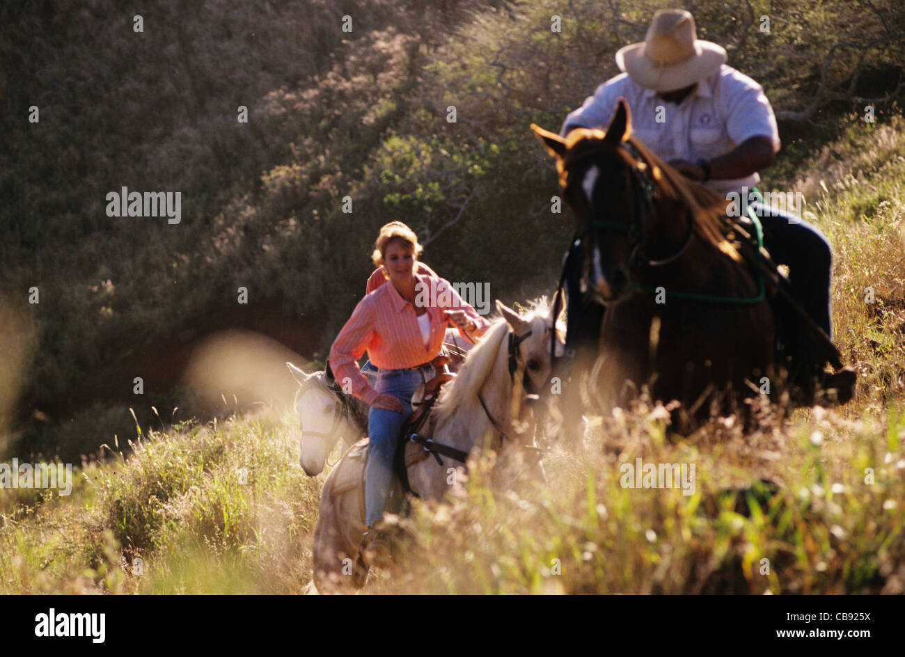Hawaii, Molokai Ranch, paniolo Stock Photo - Alamy