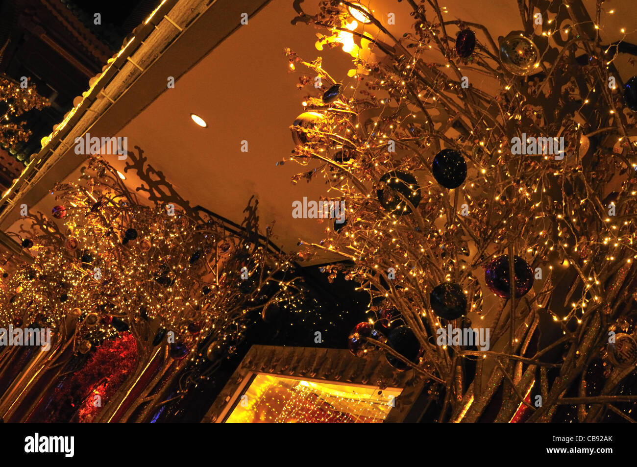 Singapore orchard road trees hi-res stock photography and images - Alamy