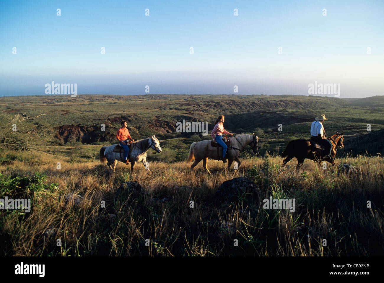 Hawaii, Molokai Ranch, paniolo and ranch guests on late day ride Stock ...