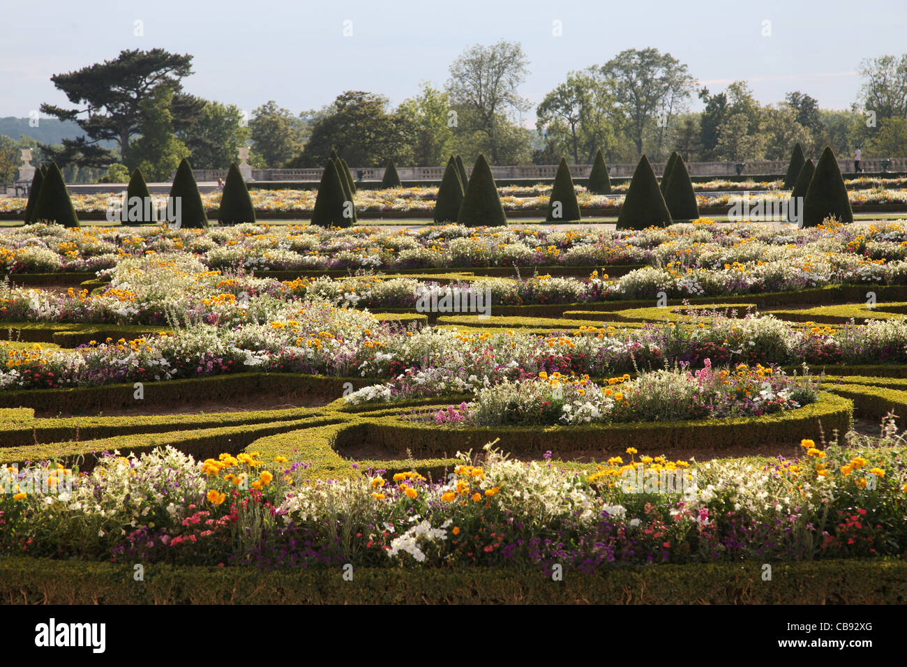 Versailles flowers hi-res stock photography and images - Alamy
