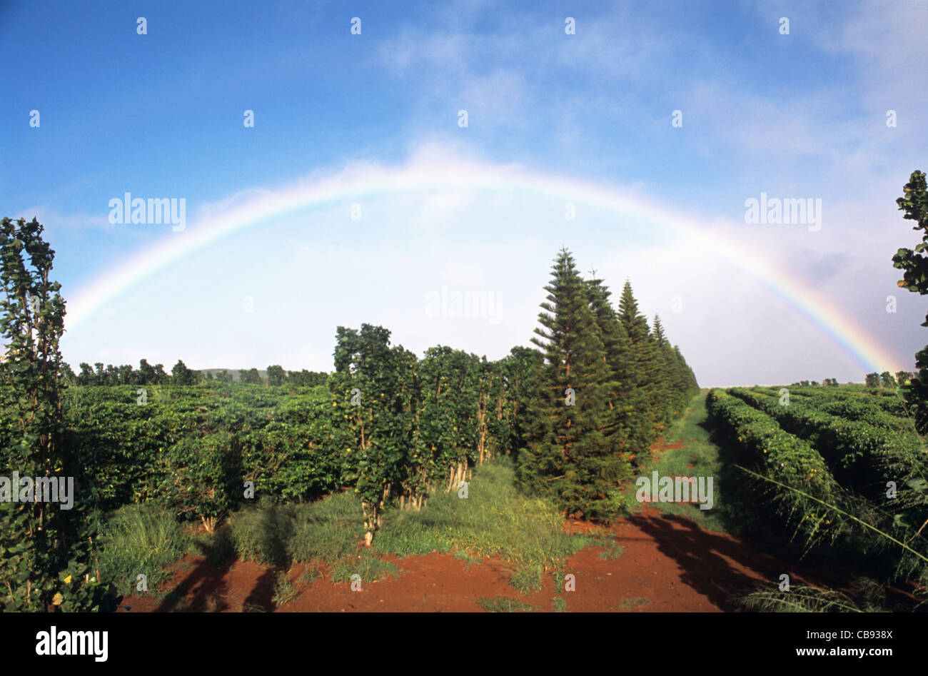 Hawaii molokai rainbow hi-res stock photography and images - Alamy