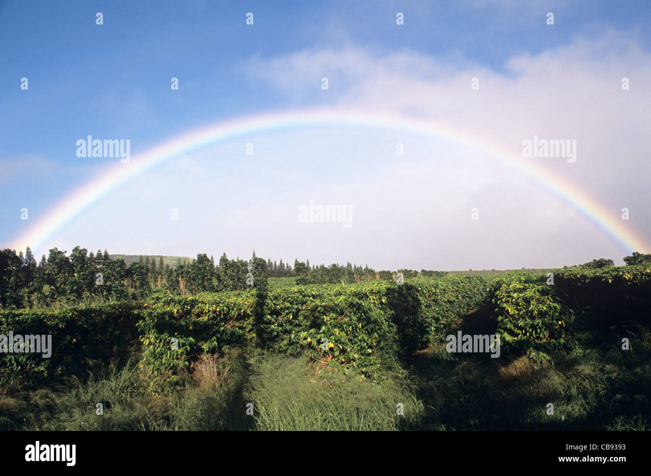 Hawaii molokai rainbow hi-res stock photography and images - Alamy
