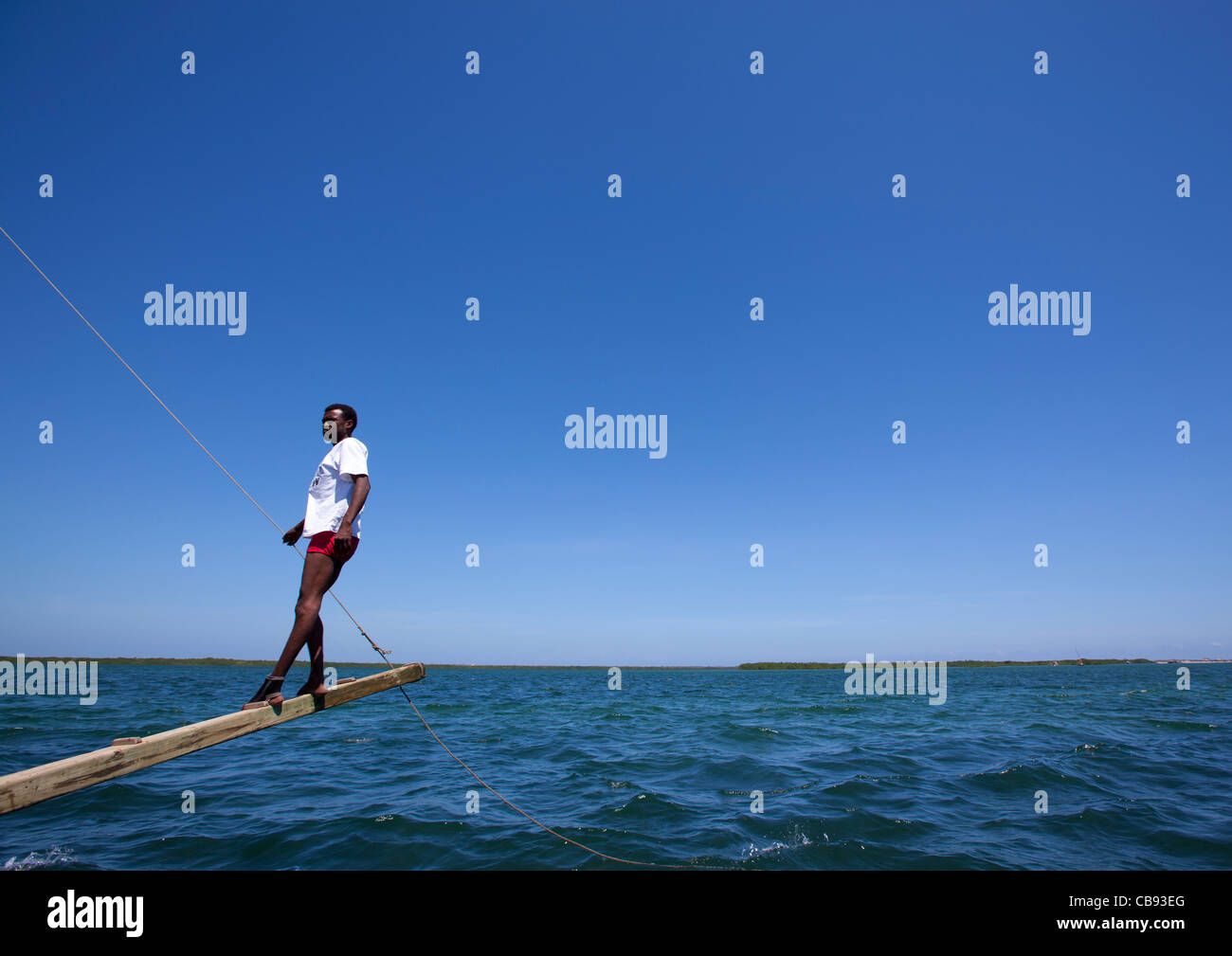 Man Balancing Dhow While Sailing, Dhow Race, Maulidi, Lamu Kenya Stock ...