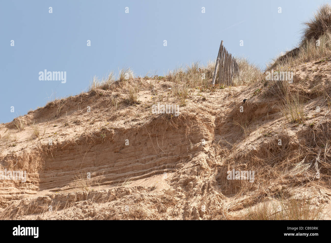 layers of sand exposed in a moving sand dune weathered by wind and sea ...