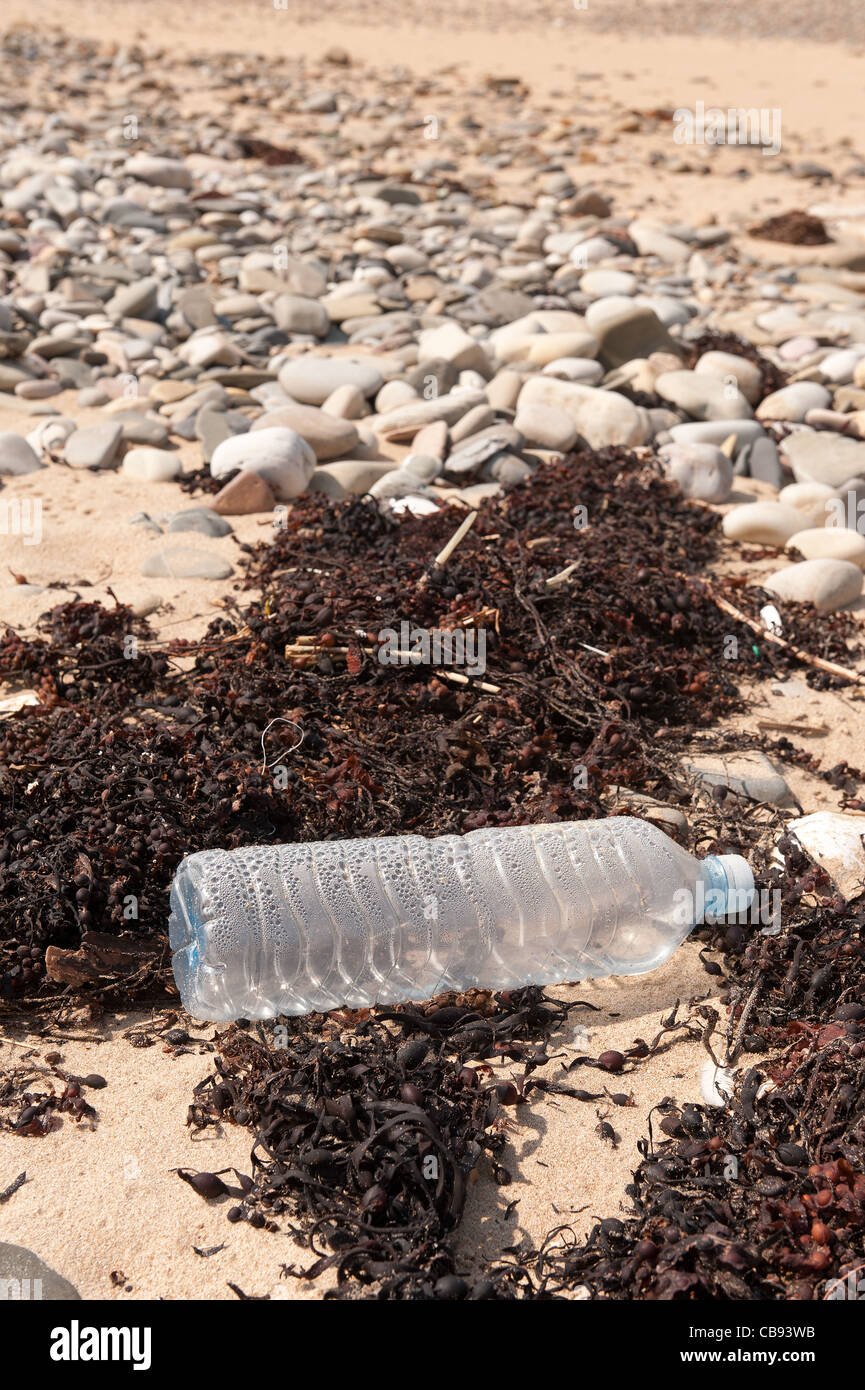 Washed up plastic bottle beech, human behavior and lack of respect for ...