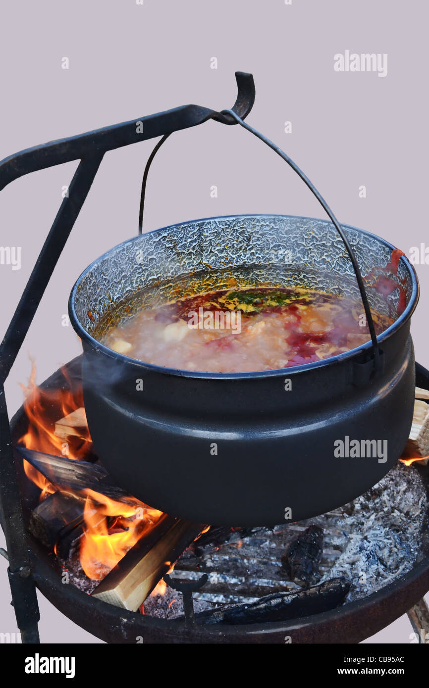 Venison stew boiling in a stewpot at a garden-party, isolated from ...
