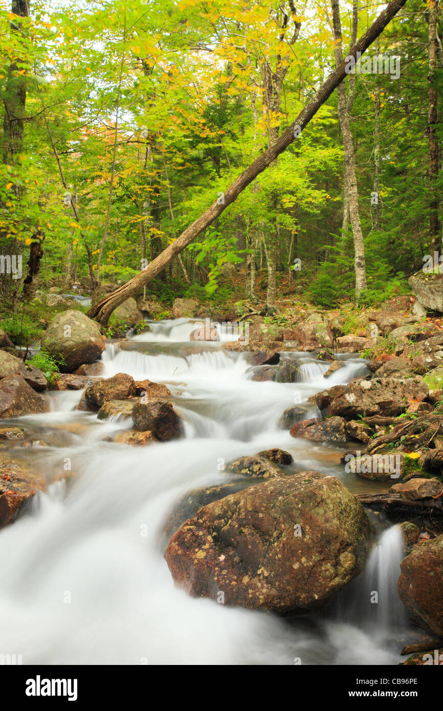 Hiking Trail Beside Jordan Stream, Acadia National Park, Maine, USA ...