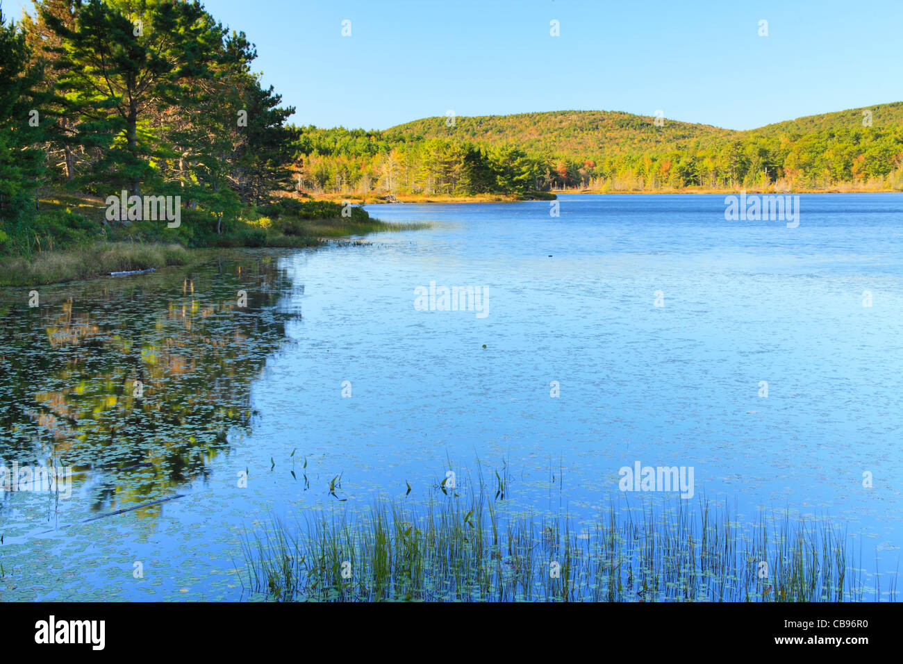 Witch Hole Pond, Acadia National Park, Maine, USA Stock Photo - Alamy