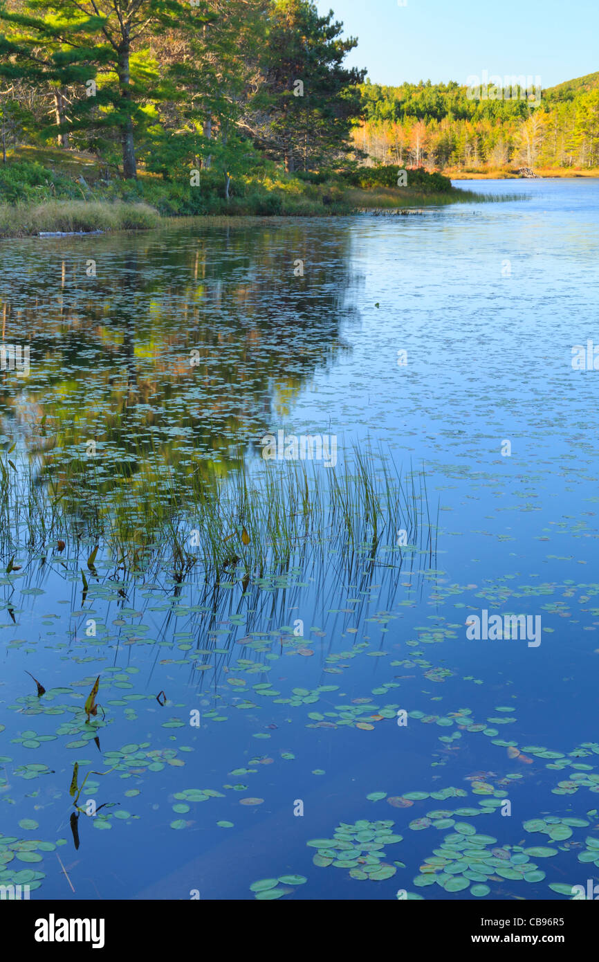 Witch Hole Pond, Acadia National Park, Maine, USA Stock Photo - Alamy