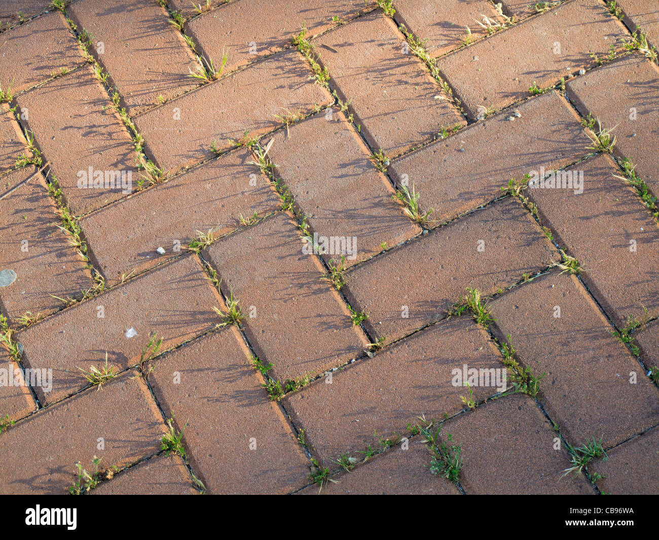 Block-paved road, Italy Stock Photo - Alamy