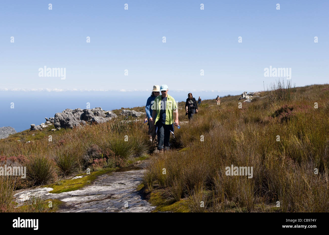 Maclear’s Beacon High Resolution Stock Photography and Images - Alamy