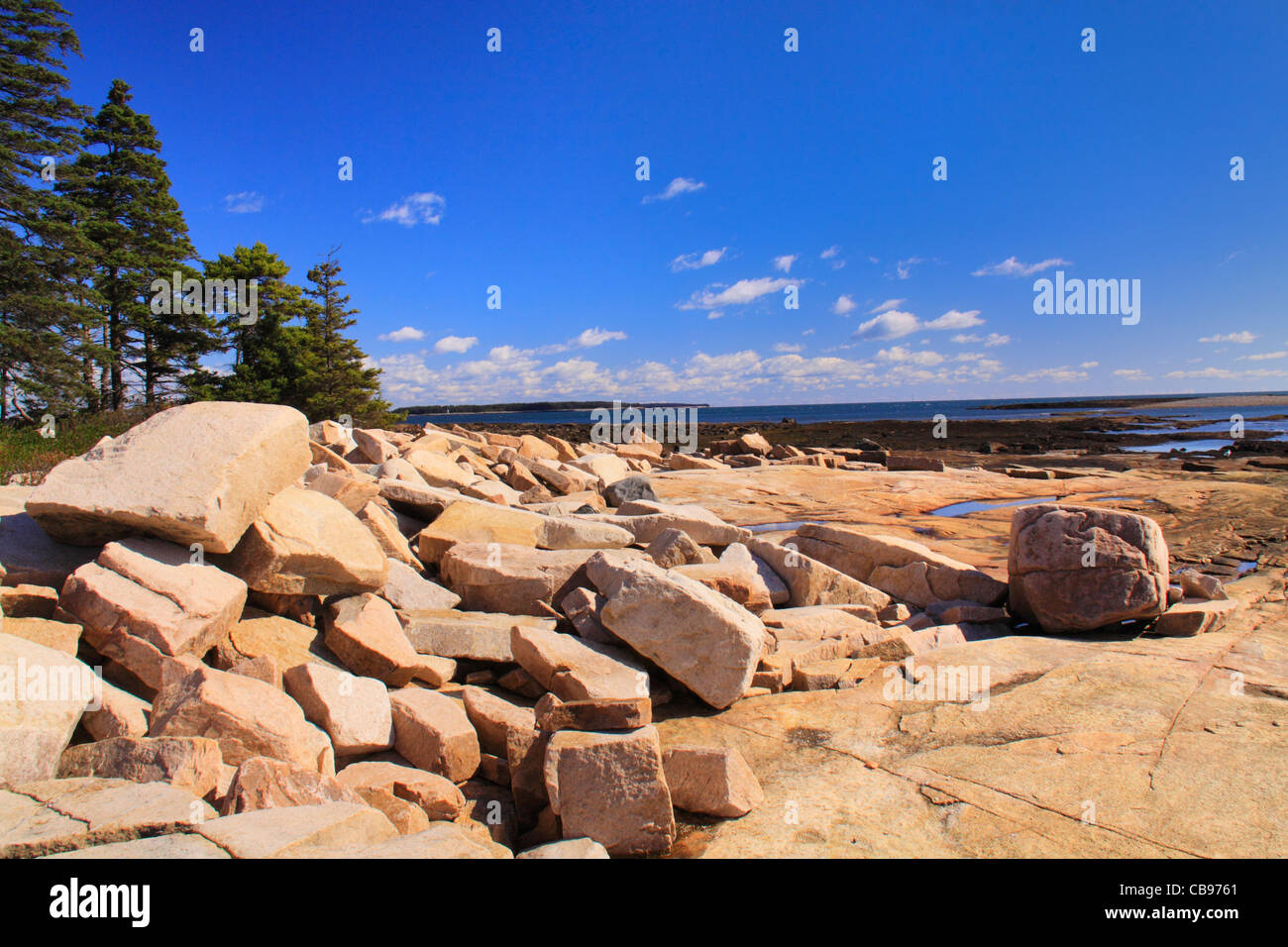 Wonderland Trail, Acadia National Park, Maine, USA Stock Photo - Alamy