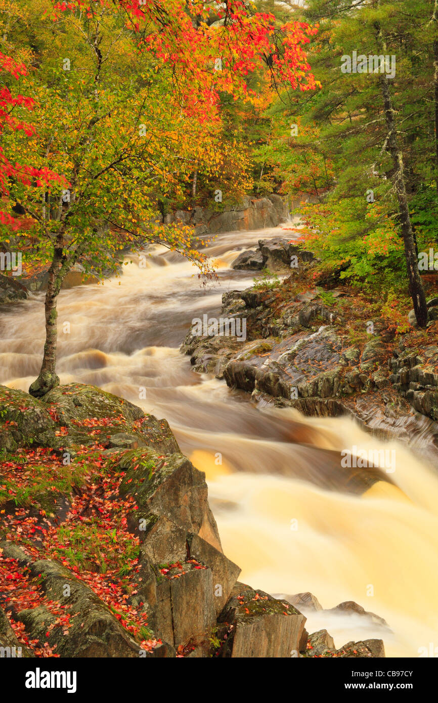 Coos Canyon of the Swift River, Byron, Maine, USA Stock Photo - Alamy