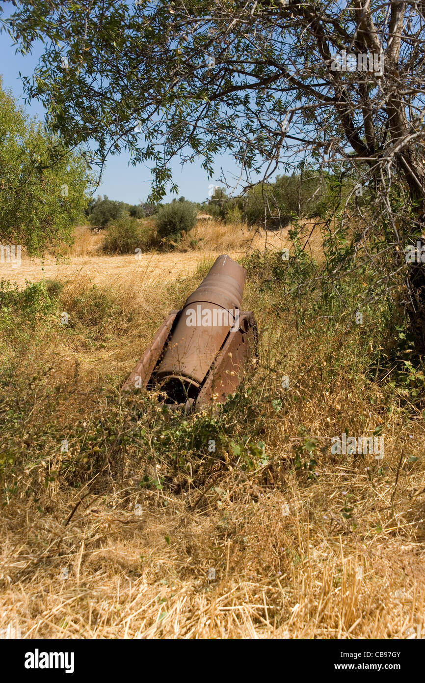 French artillery guns in a field near Sedulbahir fort left after the ...