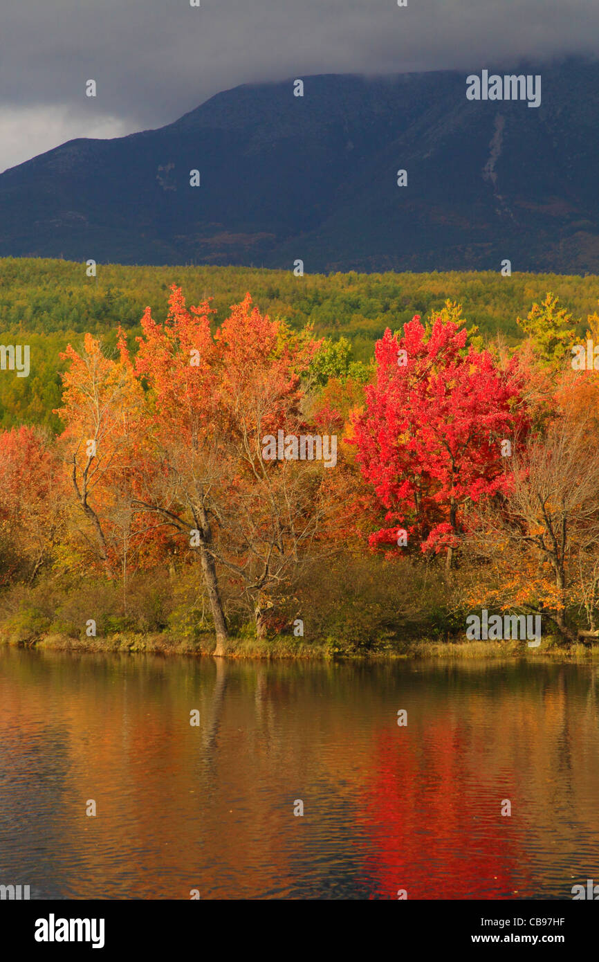 Appalachian trail abol bridge hi-res stock photography and images - Alamy