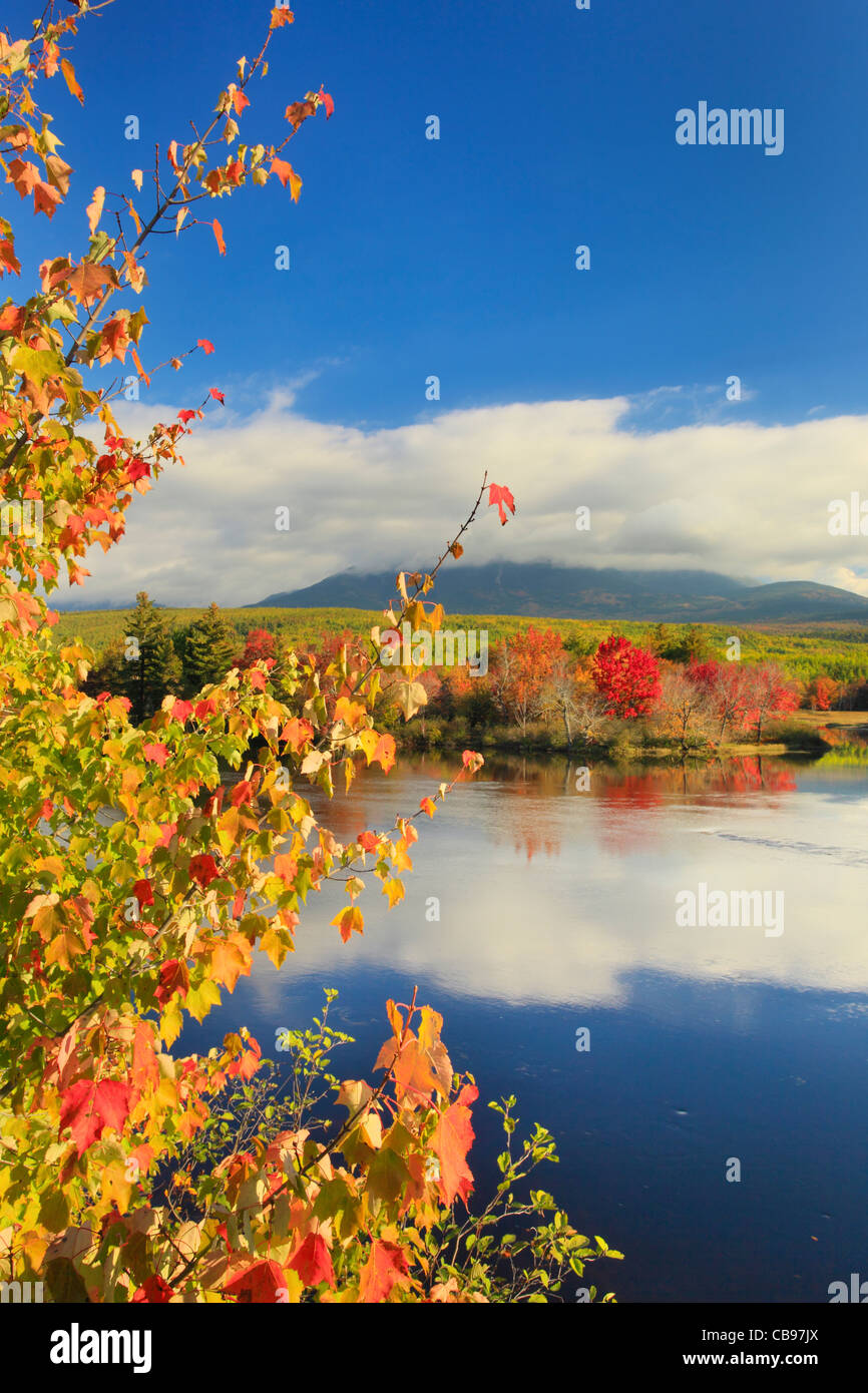 Appalachian trail abol bridge hi-res stock photography and images - Alamy