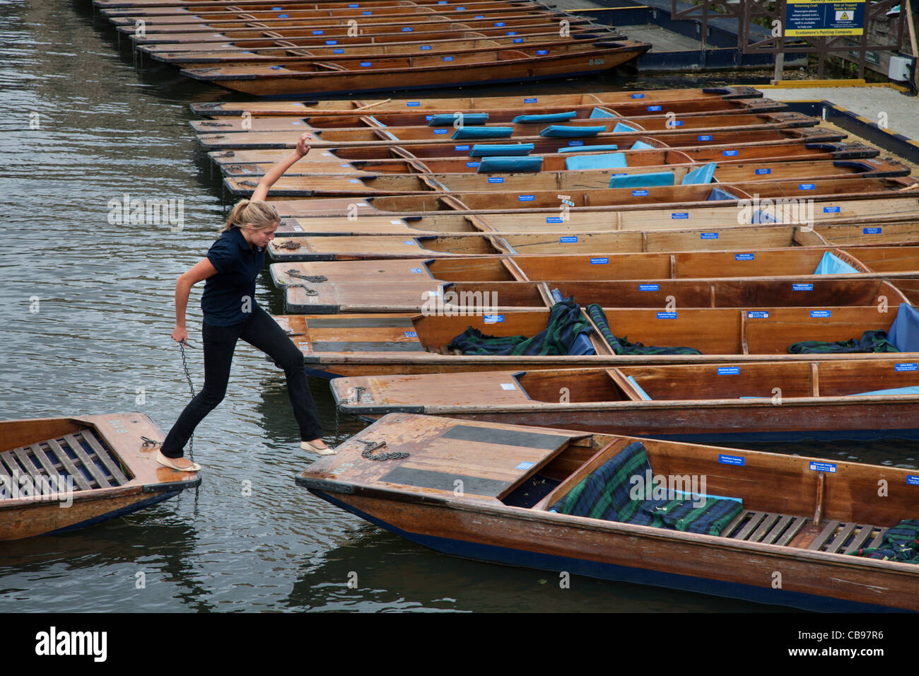 Punting In Cambridge Stock Photos & Punting In Cambridge Stock Images ...