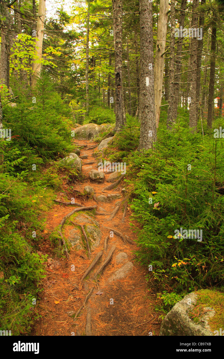 Katahdin Stream Trail, Appalachian Trail, Baxter State Park ...