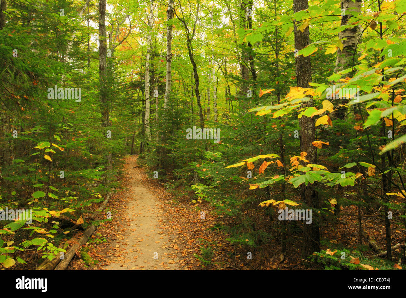 Katahdin Stream Trail, Appalachian Trail, Baxter State Park ...
