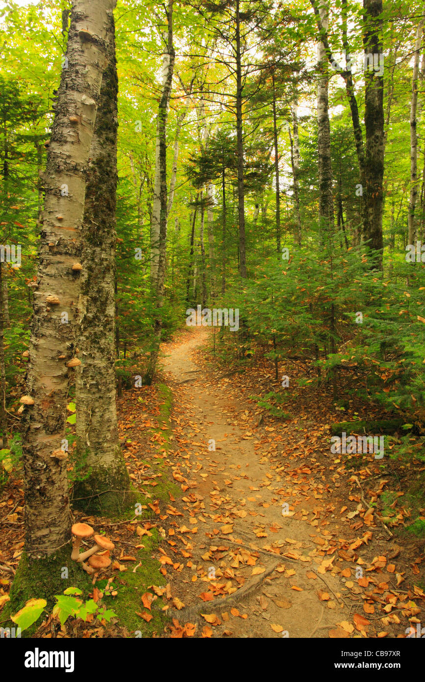 Katahdin Stream Trail, Appalachian Trail, Baxter State Park ...