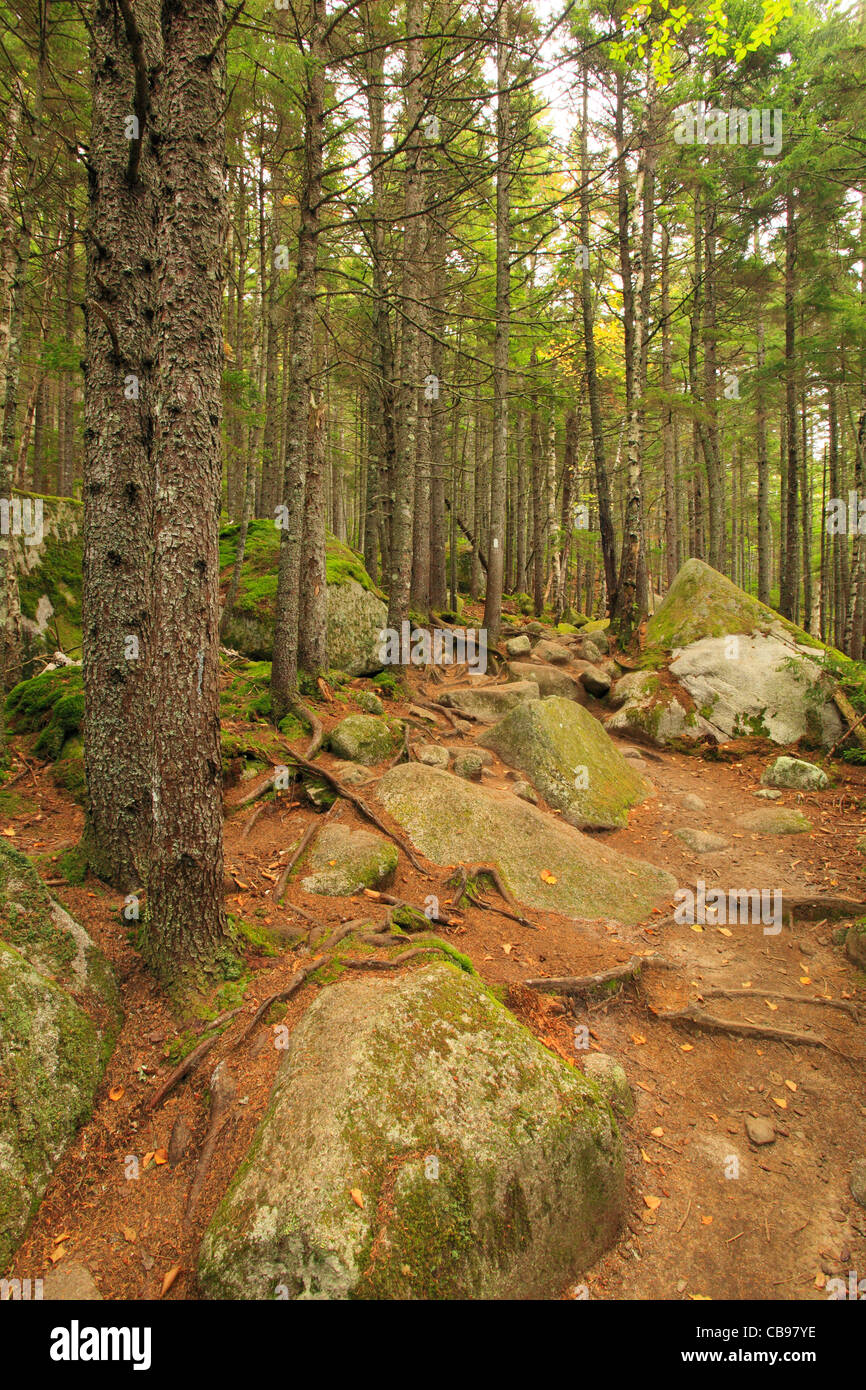 Katahdin Stream Trail, Appalachian Trail, Baxter State Park ...