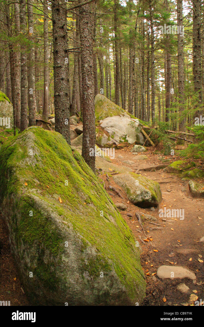 Katahdin Stream Trail, Appalachian Trail, Baxter State Park ...