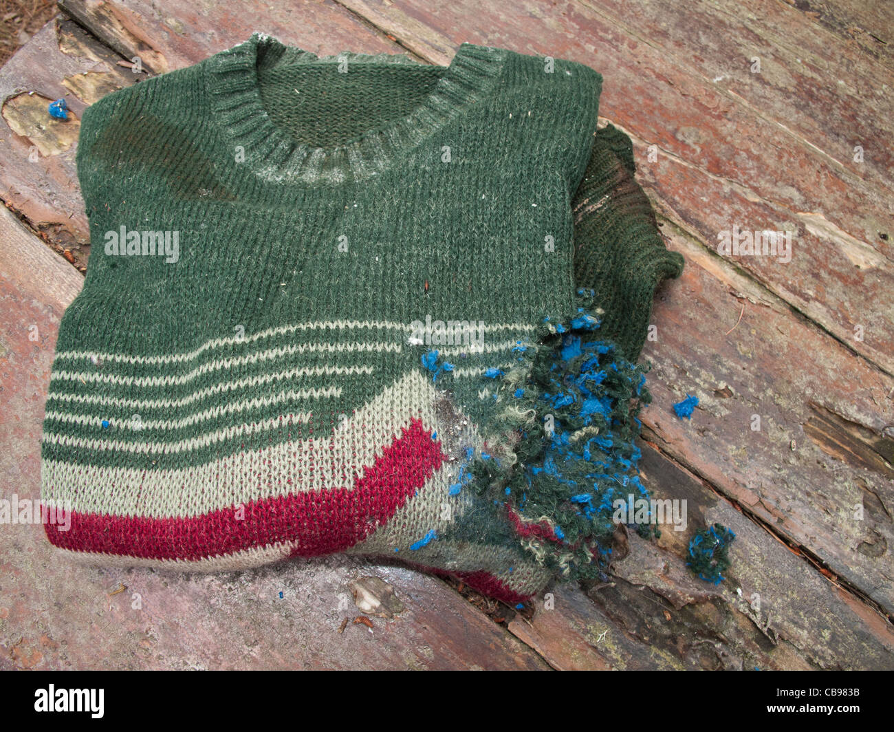 Stored pest hi-res stock photography and images - Alamy