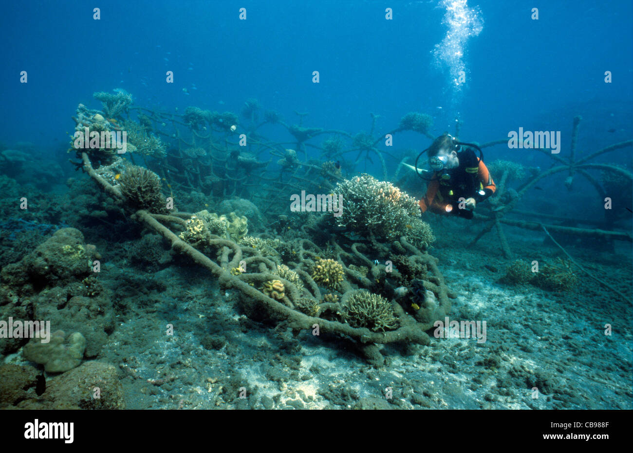 Biorock hi-res stock photography and images - Alamy